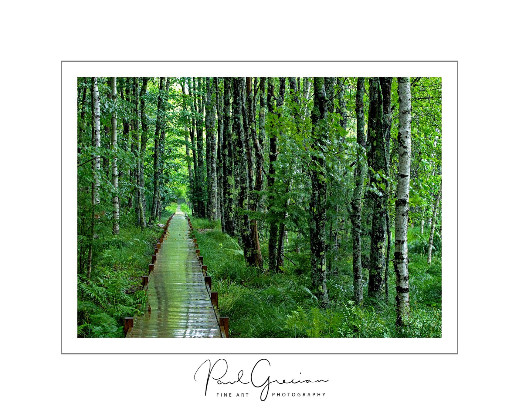 Path of Reflection | Paul Grecian - Photography