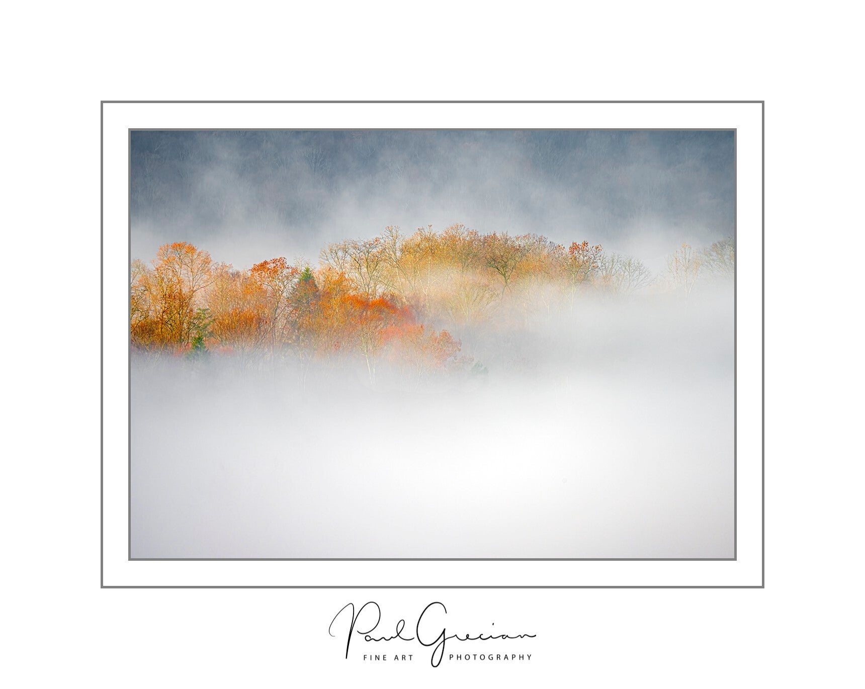 Emergence | Paul Grecian - Photography