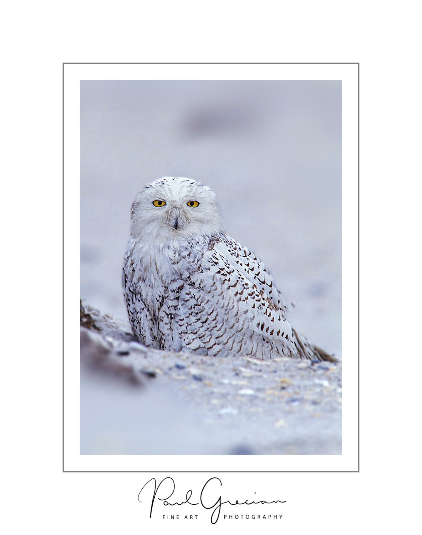 Sandy Spot | Paul Grecian - Photography