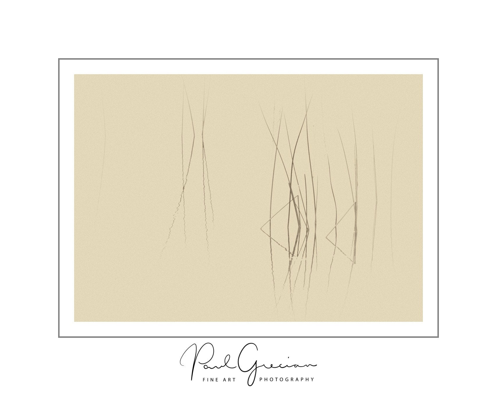 A Ripple, A Blade of Grass | Paul Grecian - Photography